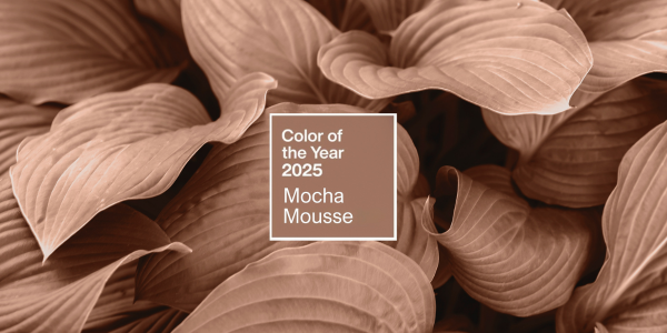 V znamení kávy. Pantone vyhlásilo farbu roka 2025